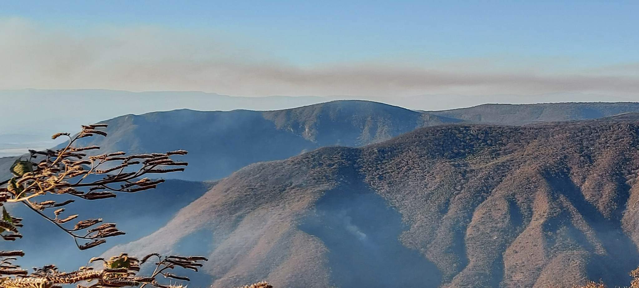 Pobladores Intentan Apagar Incendio Forestal Ntr Zacatecas