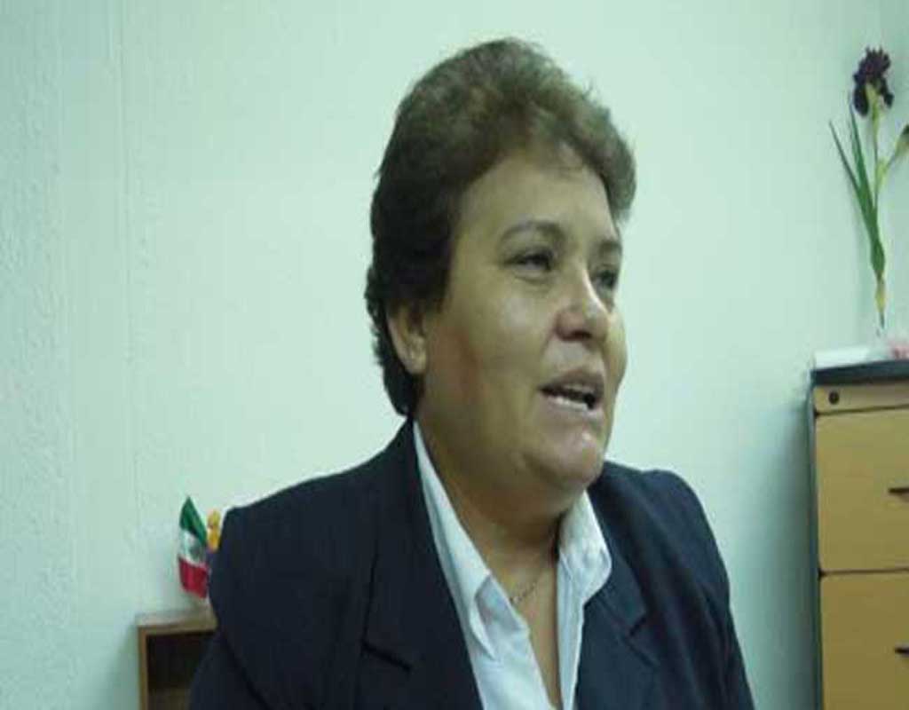 Aseguran que renunciarán 2 mil fresnillenses al Panal - NTR Zacatecas