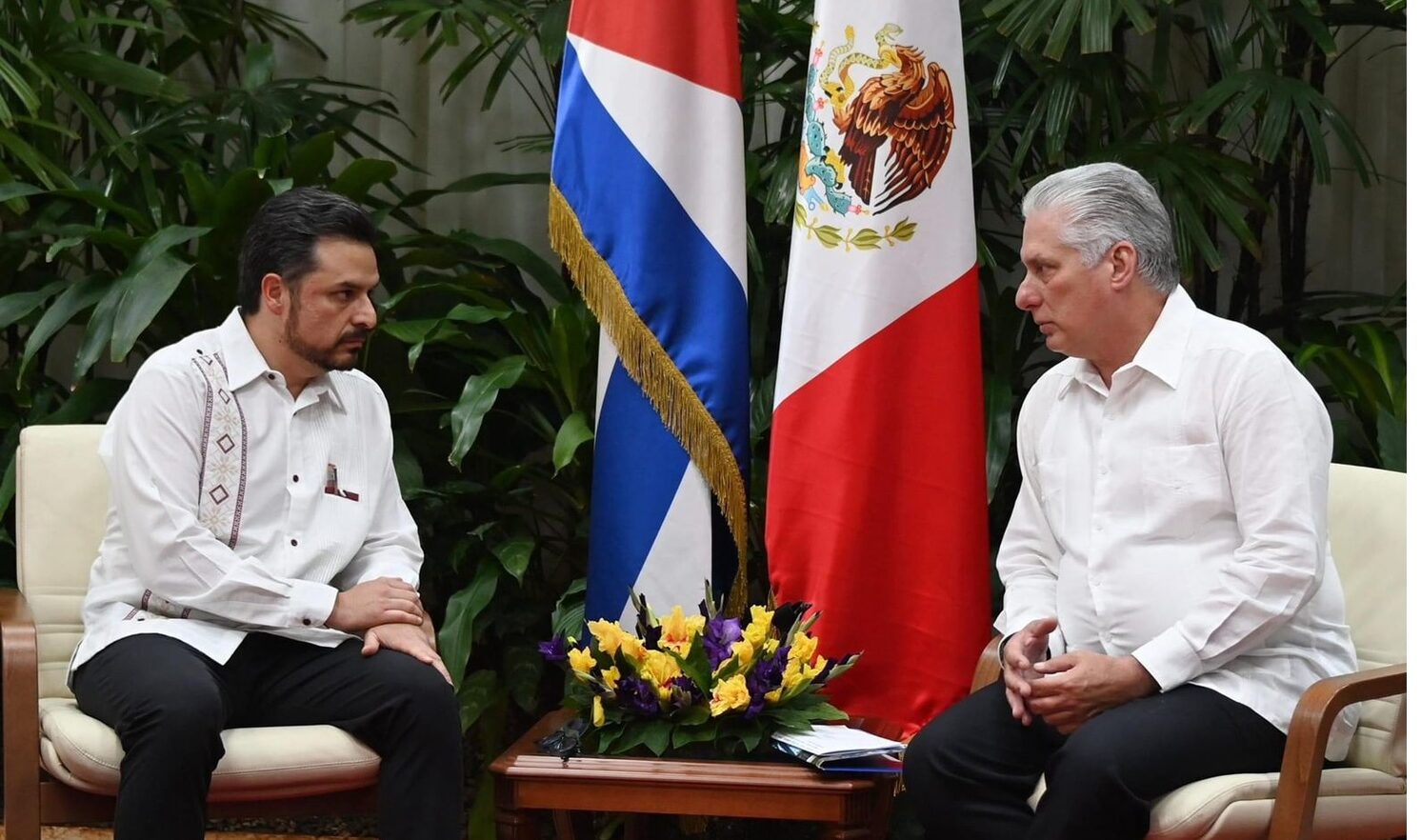 Plantea IMSS en Cuba contrato a mil 200 médicos en México - NTR Zacatecas