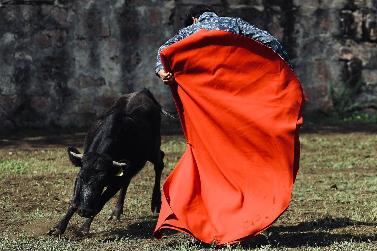 El Saucillo, historia viva del campo bravo zacatecano - NTR Zacatecas