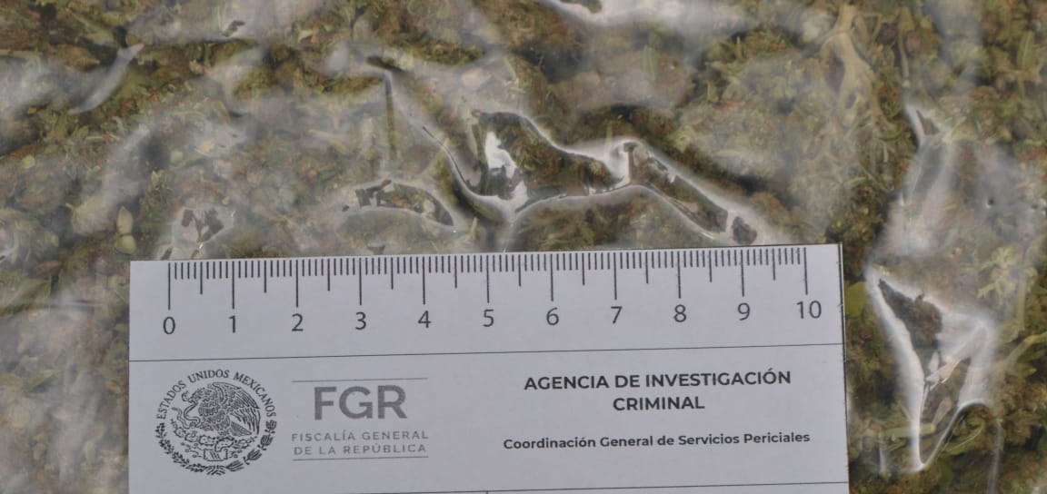 Vinculan a dos por transportar 84 kilos de marihuana en Zacatecas - NTR ...