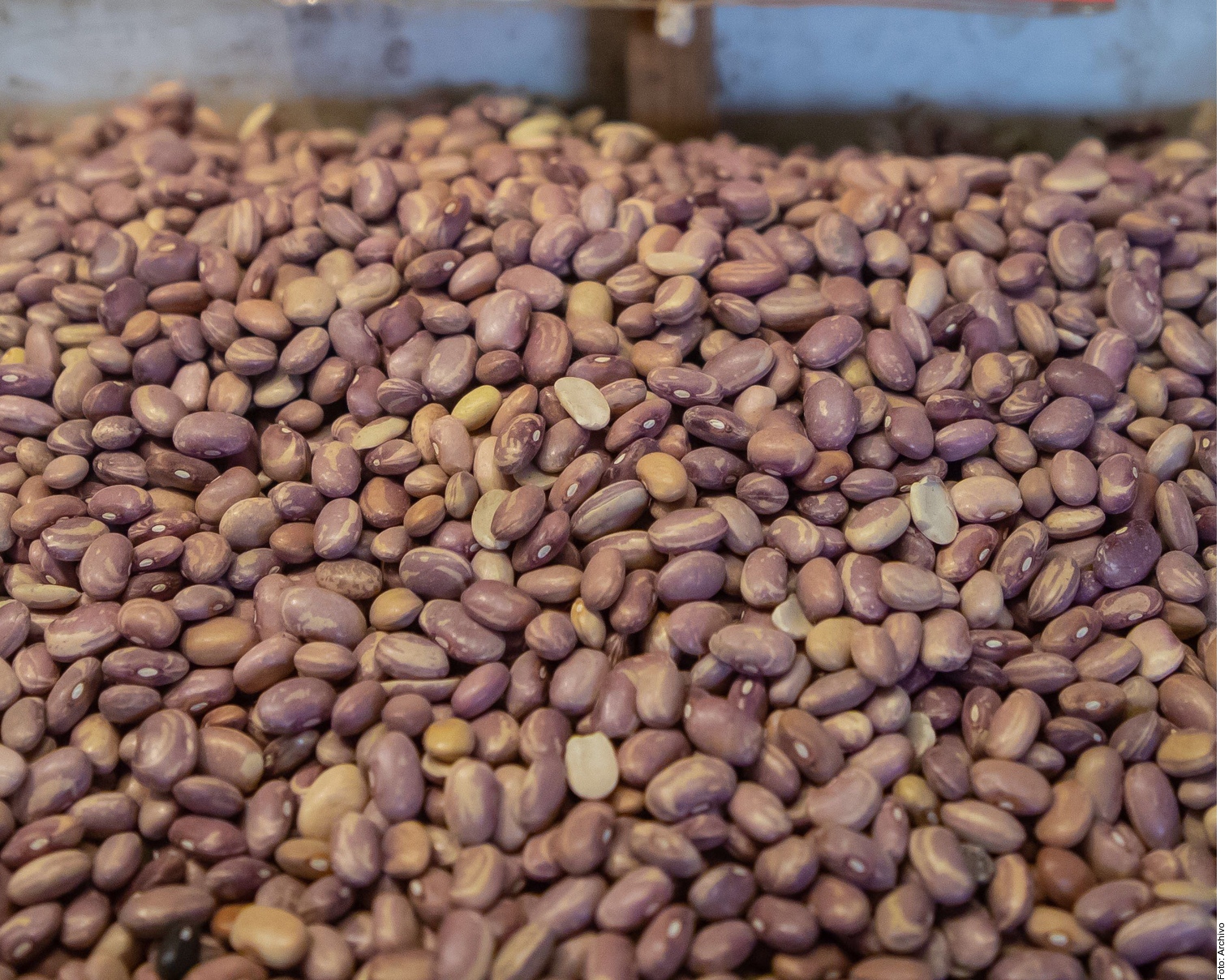 Sugieren ubicar Prosebien en Sombrerete - NTR Zacatecas