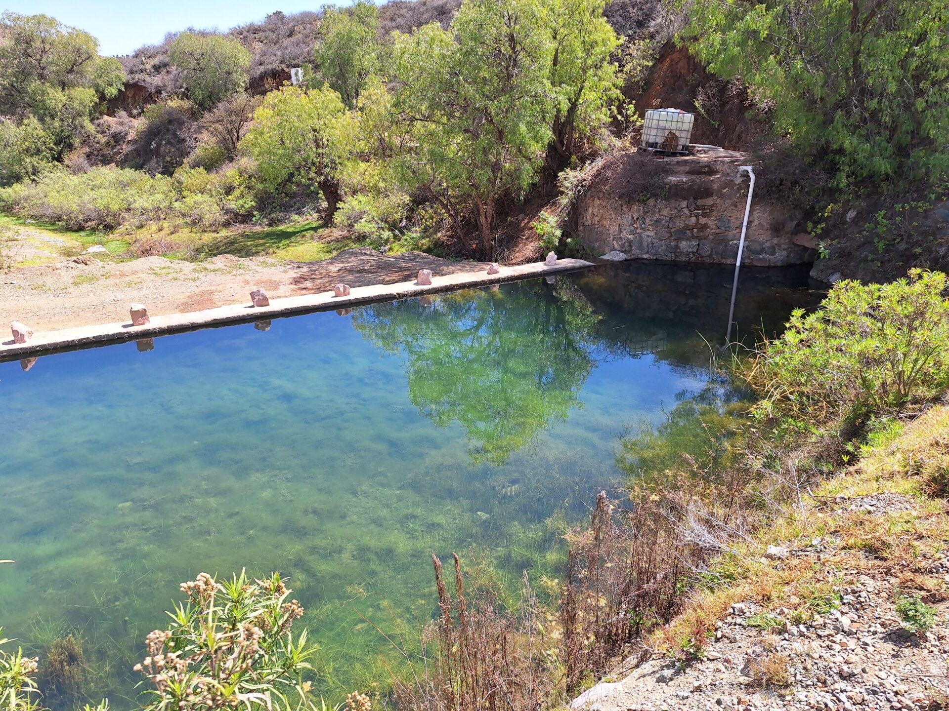 Disfruta de las veredas de Sauceda de la Borda - NTR Zacatecas