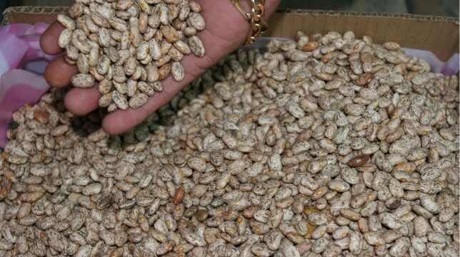 En Calera, inicia operaciones Prosebien - NTR Zacatecas